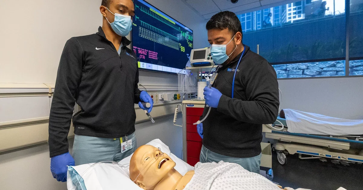 UCLA Simulation Center WIP Bridge Grant Awardees | Simulation Center